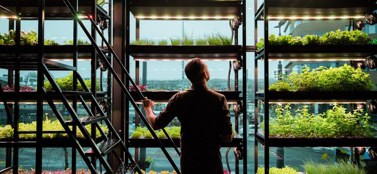 Bij LOCALS in Arnhem betaal je met creditcards van American Express ...